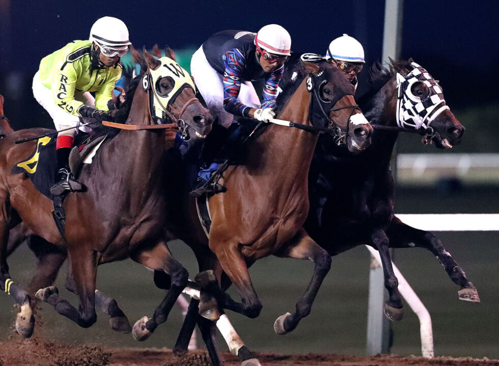 Leading Earners! Top Five Horses at ASD in 2025. - Assiniboia Downs