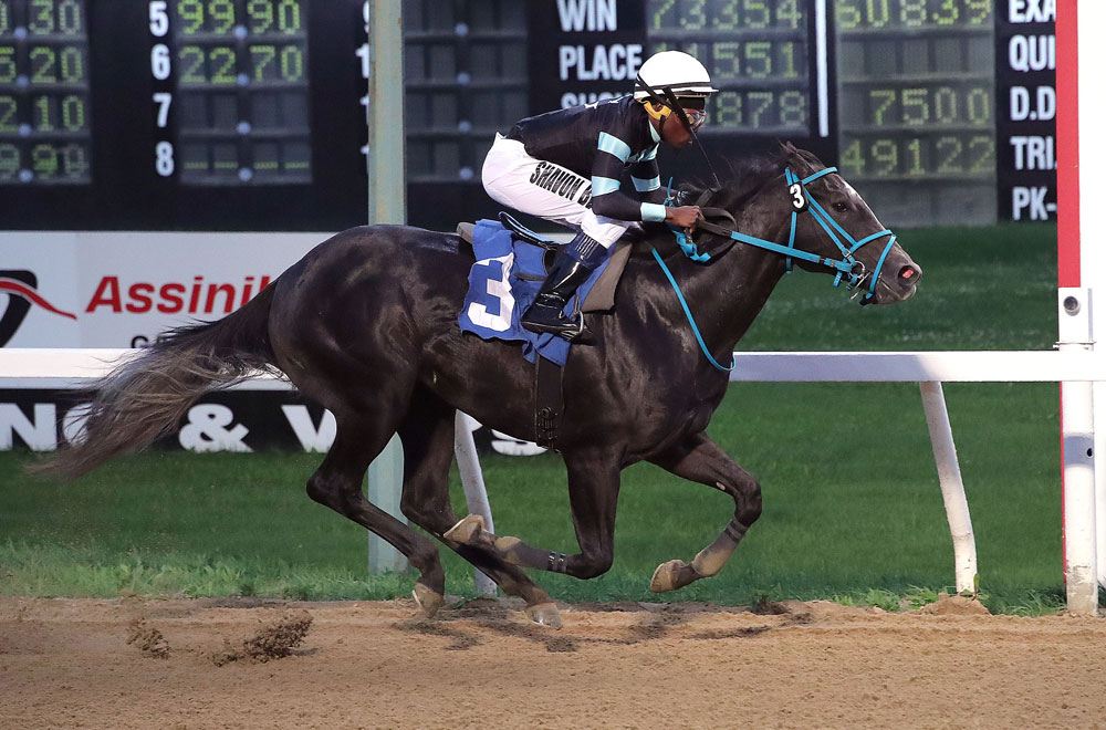 Gittens Takes His Talent to the Big Apple - Assiniboia Downs